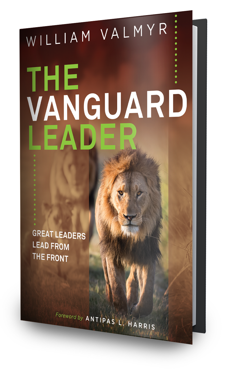 The Vanguard Leader Book
